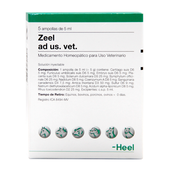 Zeel Vet x 5 Ampollas - SuperVet– SuperVet - Veterinaria